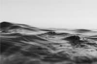 Home - Skuna Bay